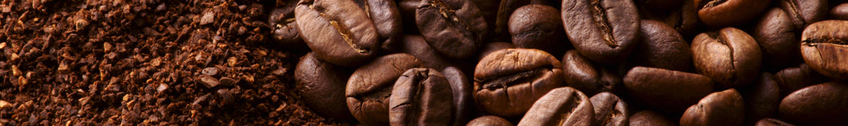 Bodum Equipment – Beanwise