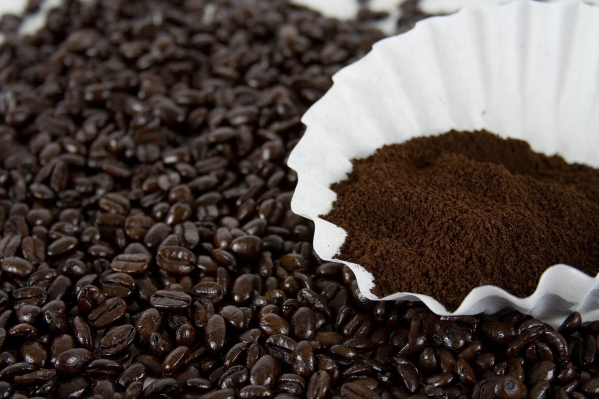 Filters – Beanwise